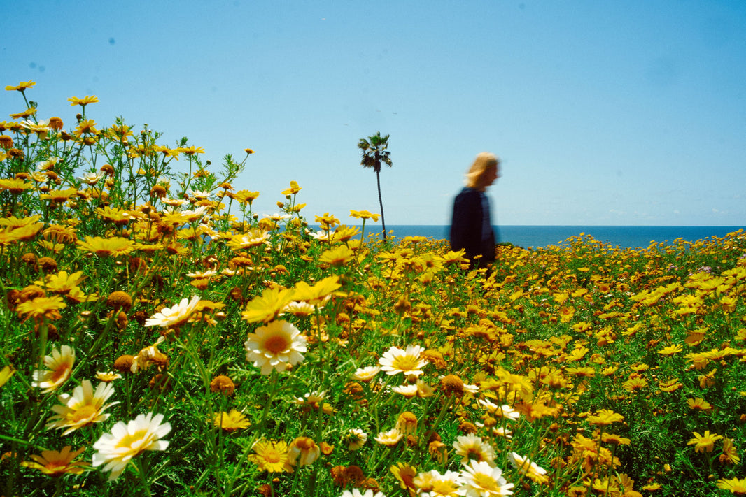Jon Foreman — New album "In Bloom" out now!